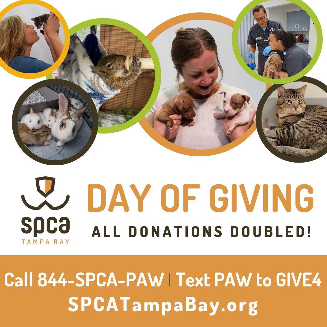 Community Resources for Pet Owners