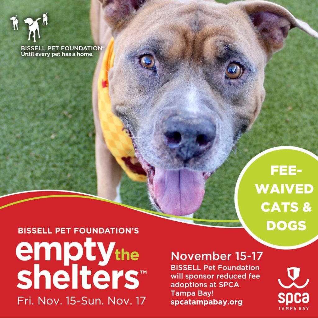 Pet Food Distribution | SPCA Tampa Bay