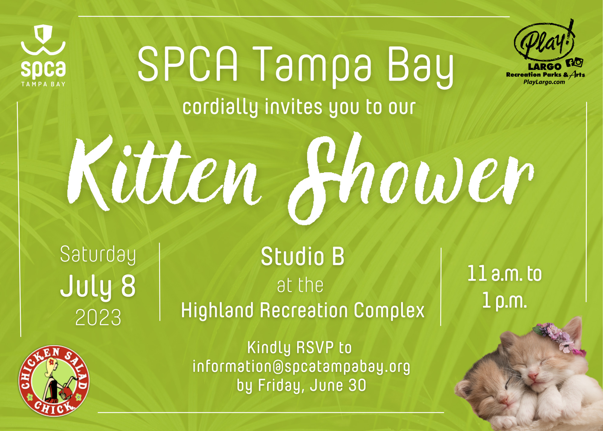 Kitten Shower | SPCA Tampa Bay
