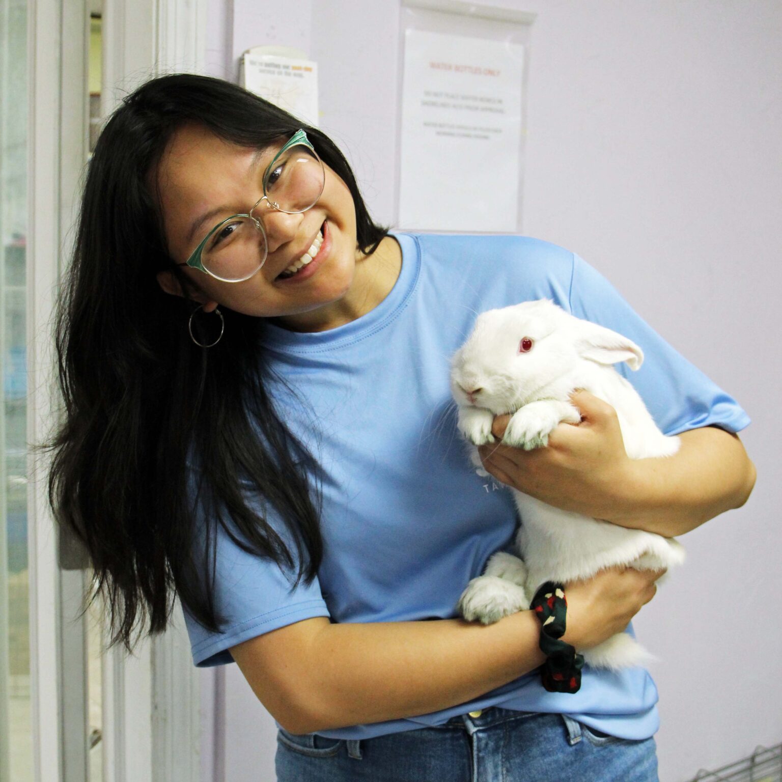 Animal Shelter Volunteer Opportunities | SPCA Tampa Bay