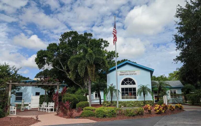 Donate Pet Food and Items | SPCA Tampa Bay